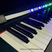 I-piano Reactive LED Visualizer | Lighted-key | Model T88 | for MIDI ...