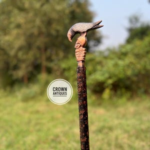 Hand Carved New Raven Skull Walking Cane, Trekking Companion Cane ...