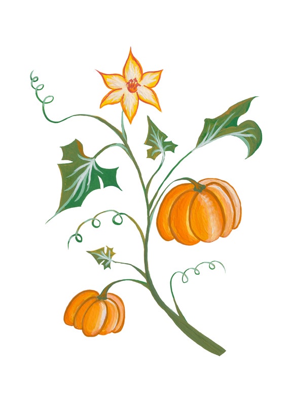 Pumpkin Vine Art