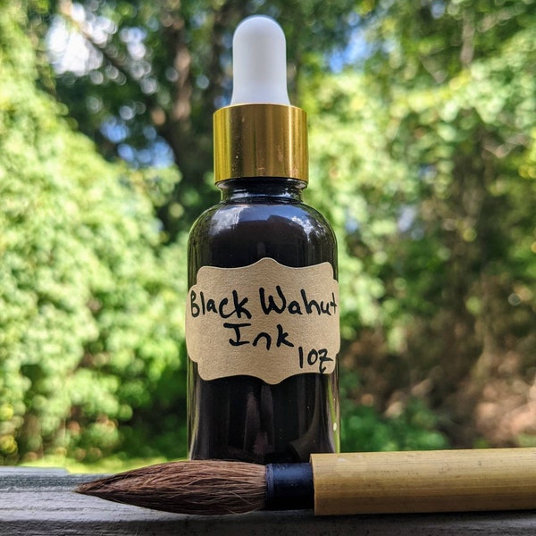 Walnut Ink Drawing - Etsy