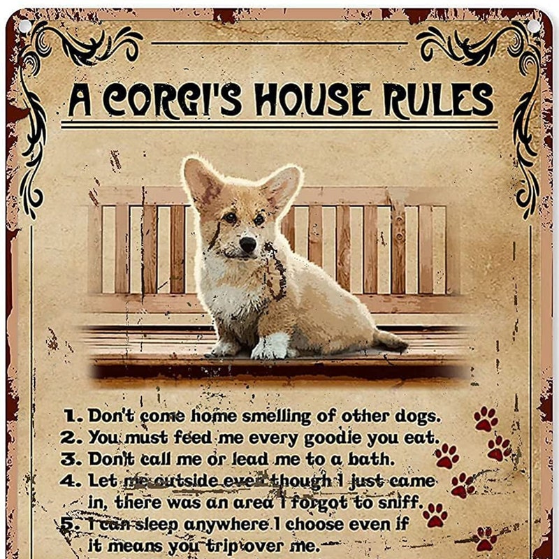 Funny Metal Signs - Etsy