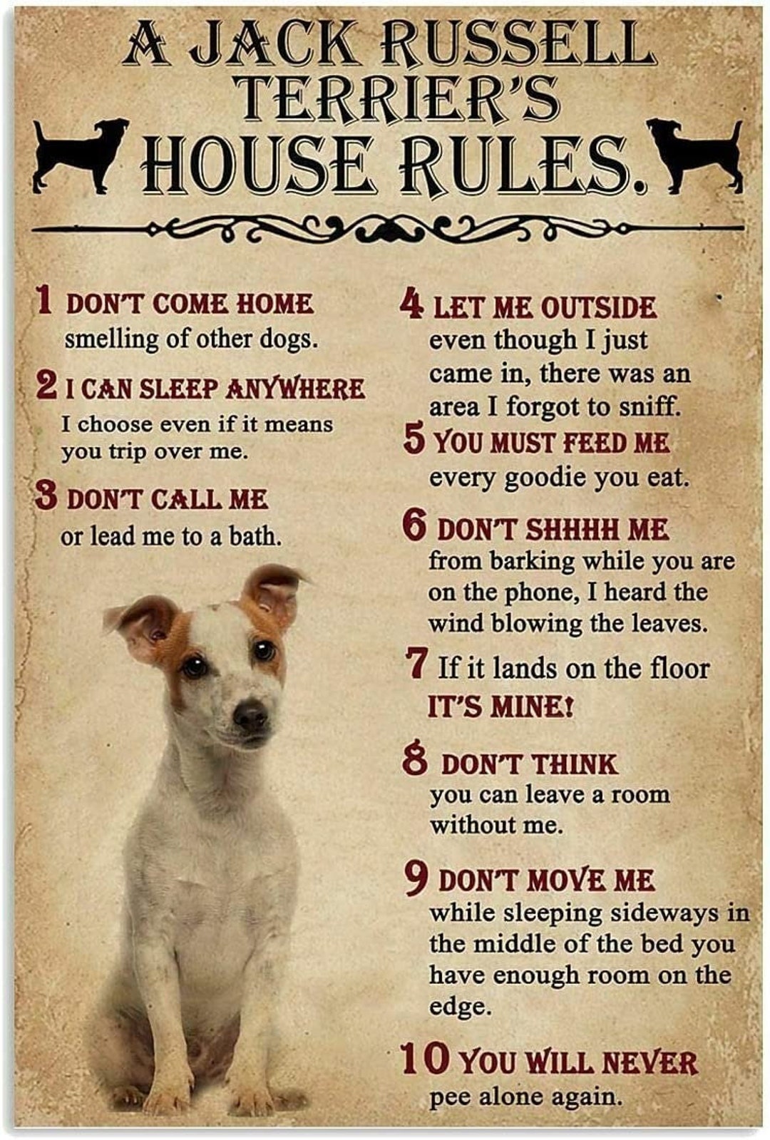 Jack Russell Terrier House Rules | Funny Home Decor | Dog Lover Gift ...