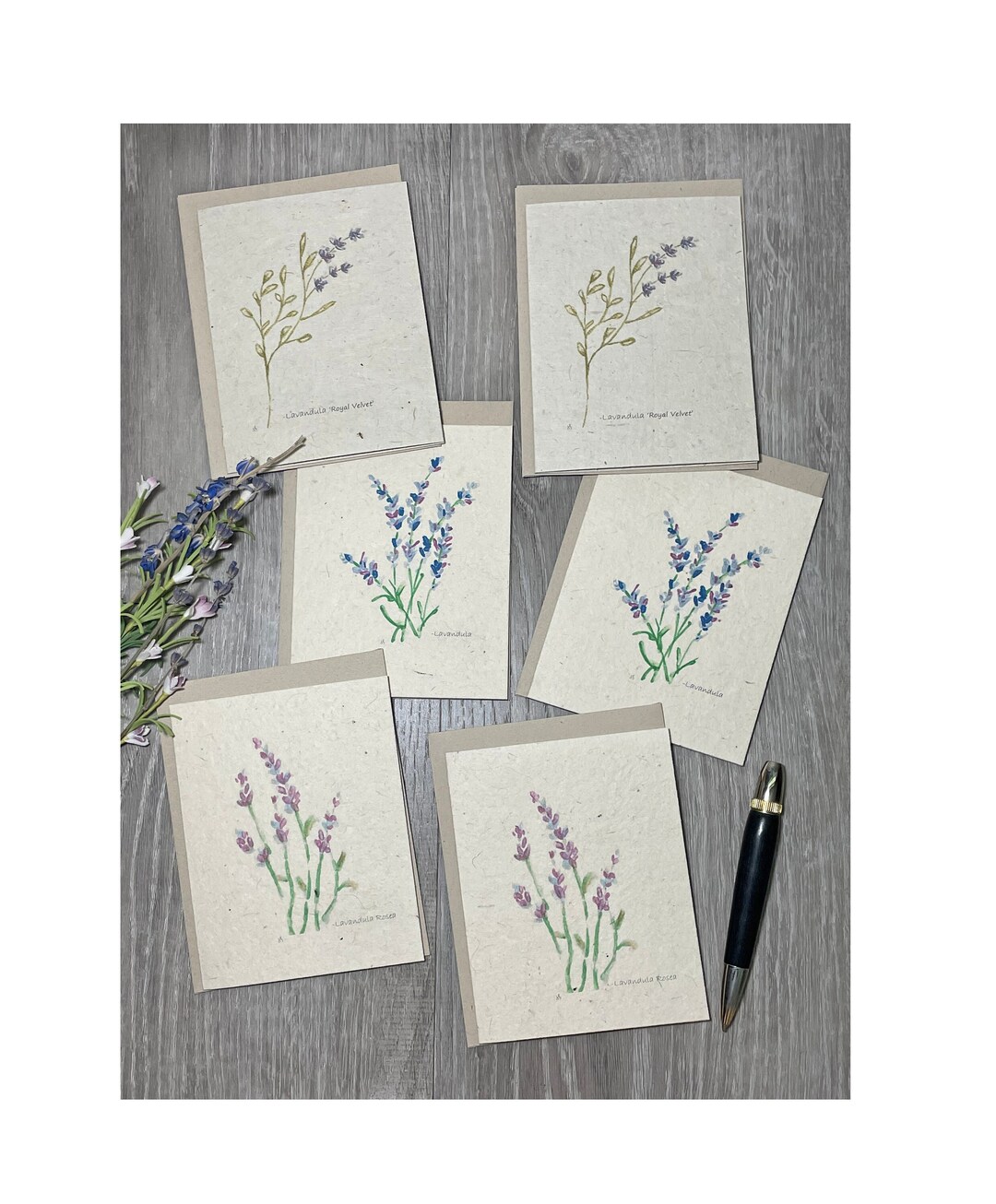 Plantable Cards Set of 6 | Wildflower Seed Paper | Hand Drawn | Eco ...