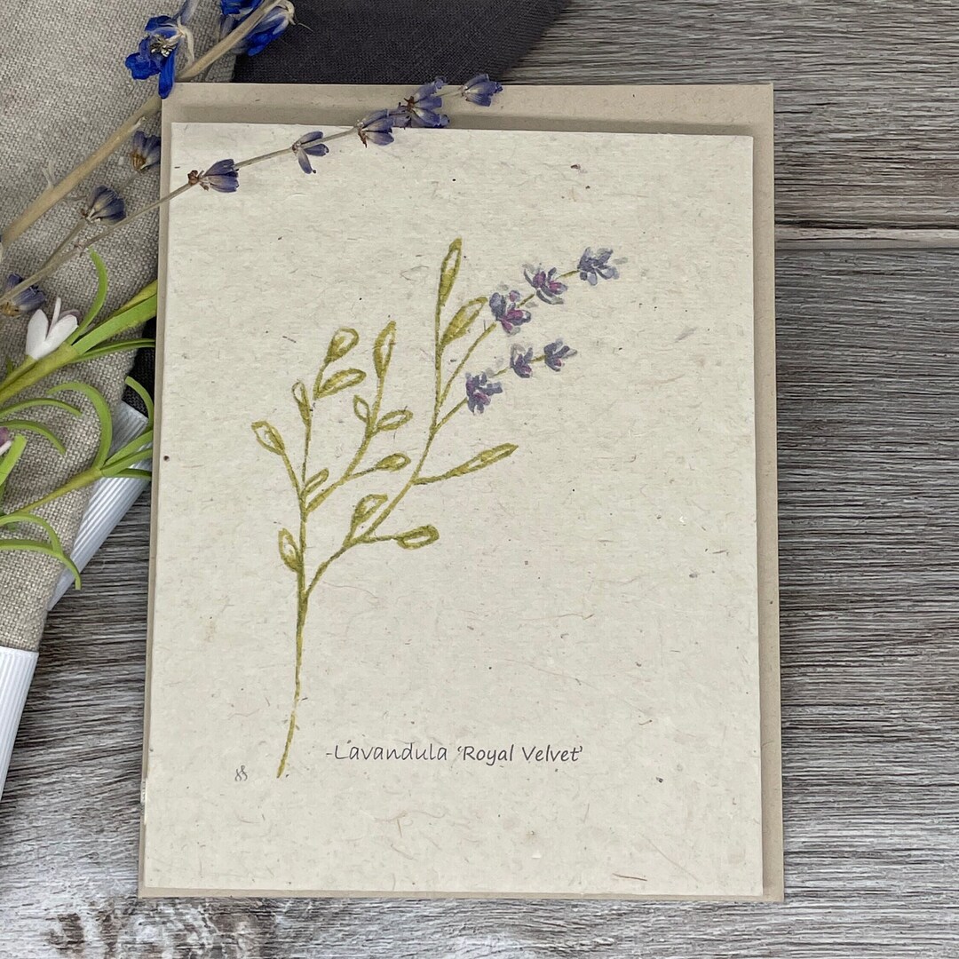 Plantable Seed Paper Cards W/envelopes Wildflower Seed Paper - Etsy
