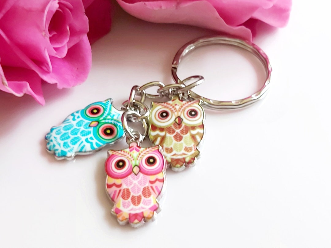 Owl Keyring. Brown Blue Pink. Three Little Owls on Silver Tone Split ...