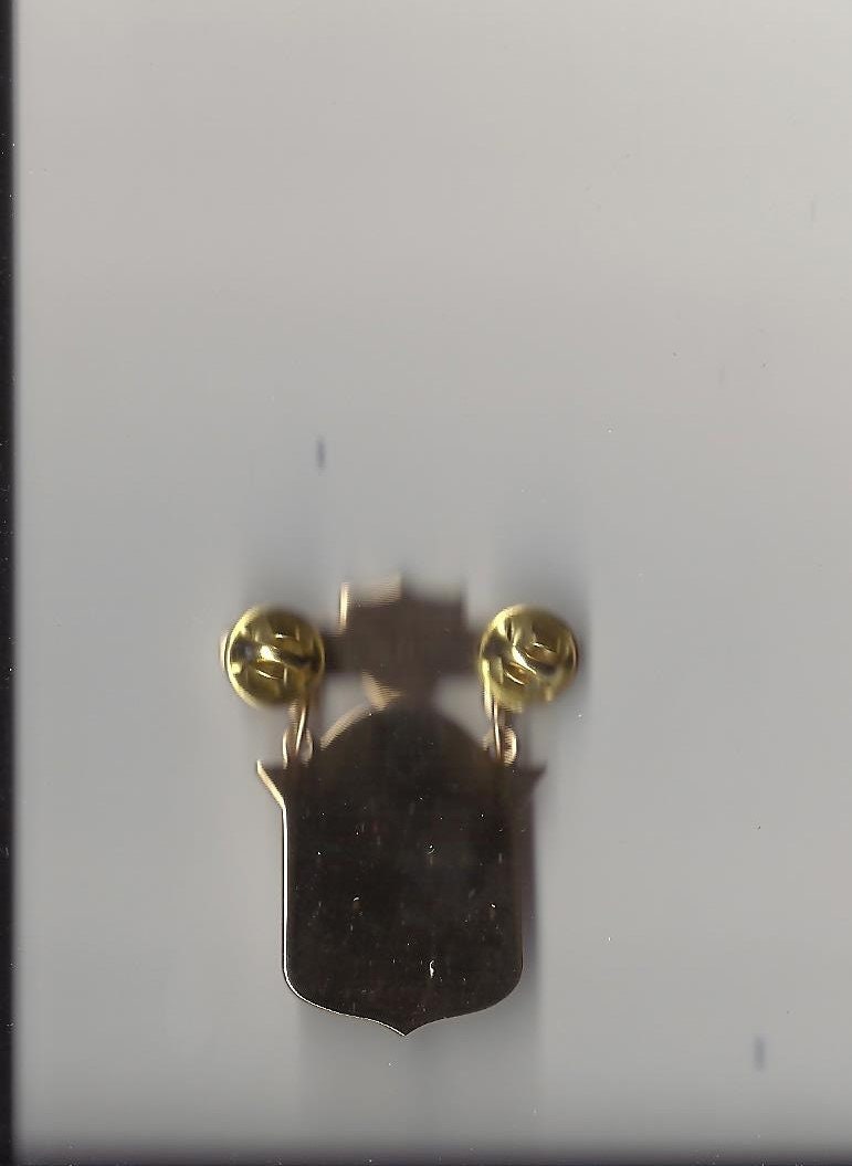 US Army Distinguished Markman Rifleman Badge - Etsy