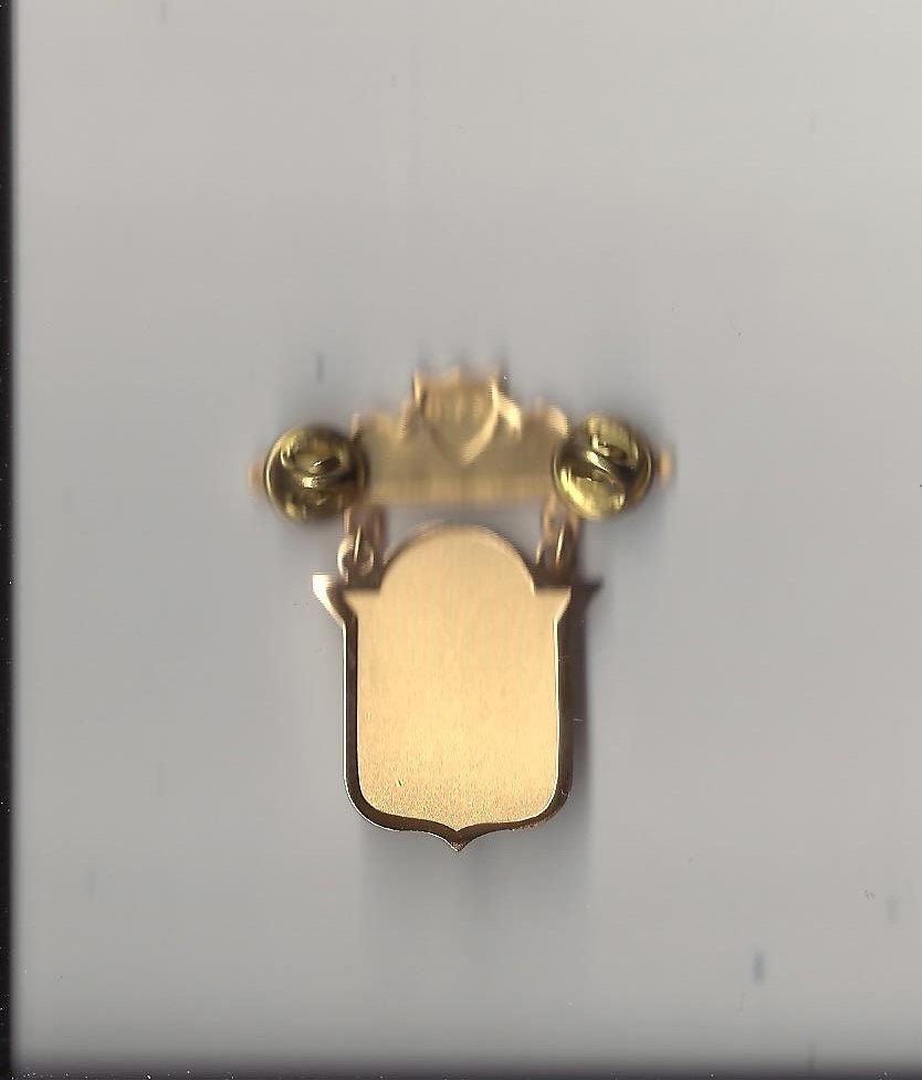 US Army Distinguished Marksman Rifleman Badge - Etsy