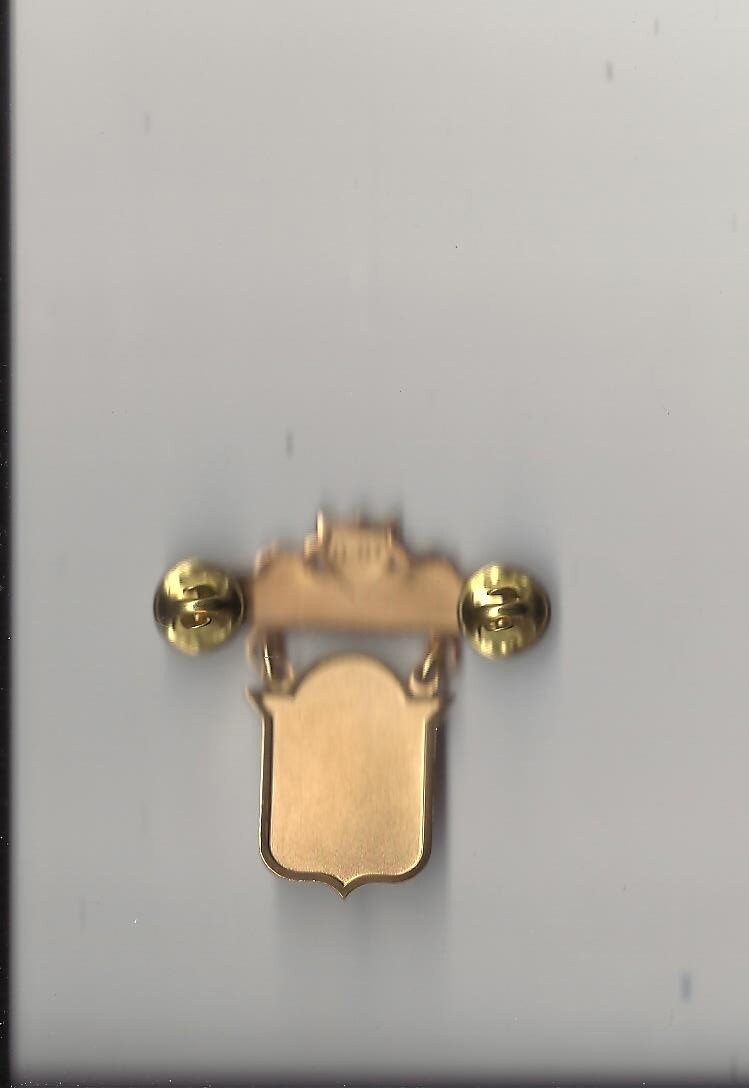 US Army Distinguished Pistol Shot Badge - Etsy