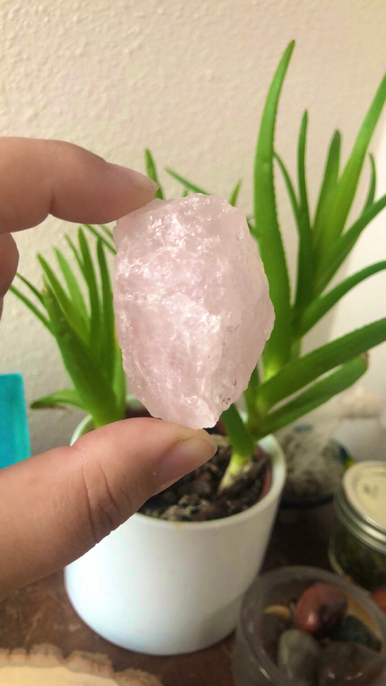 Large Rose Quartz Raw Rose Quartz Rose Quartz Crystals - Etsy