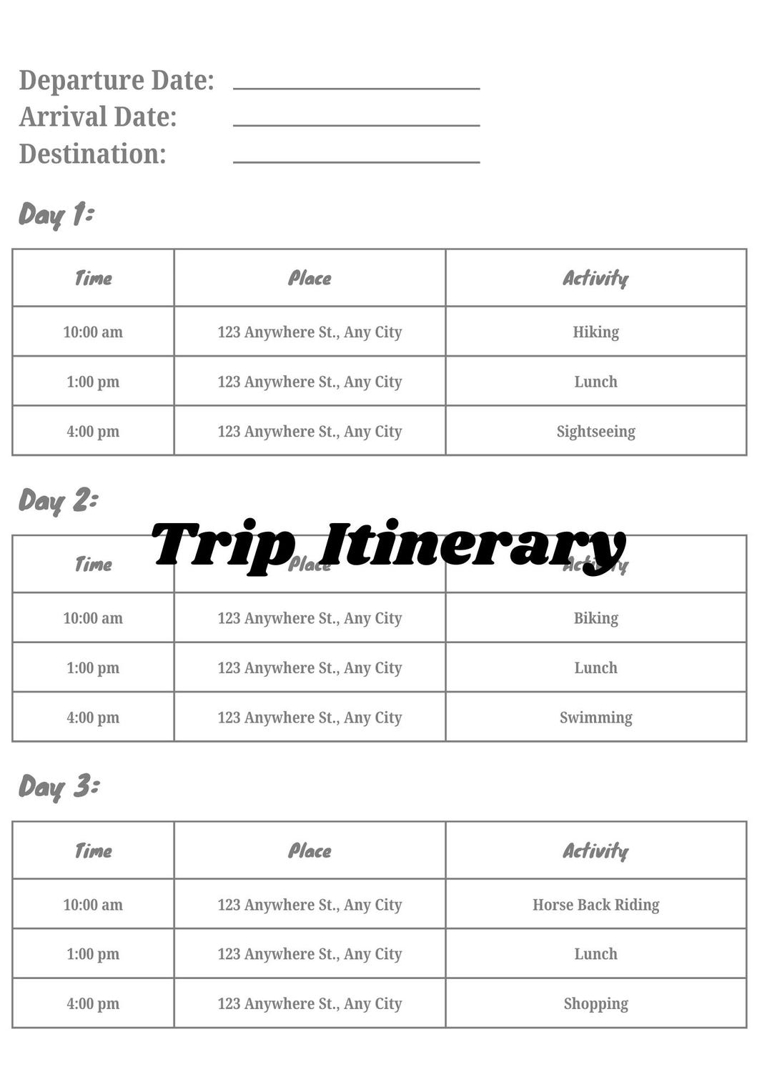 Dfy/done for You Trip Itinerary Timeline Planner | Travel Planner - Etsy