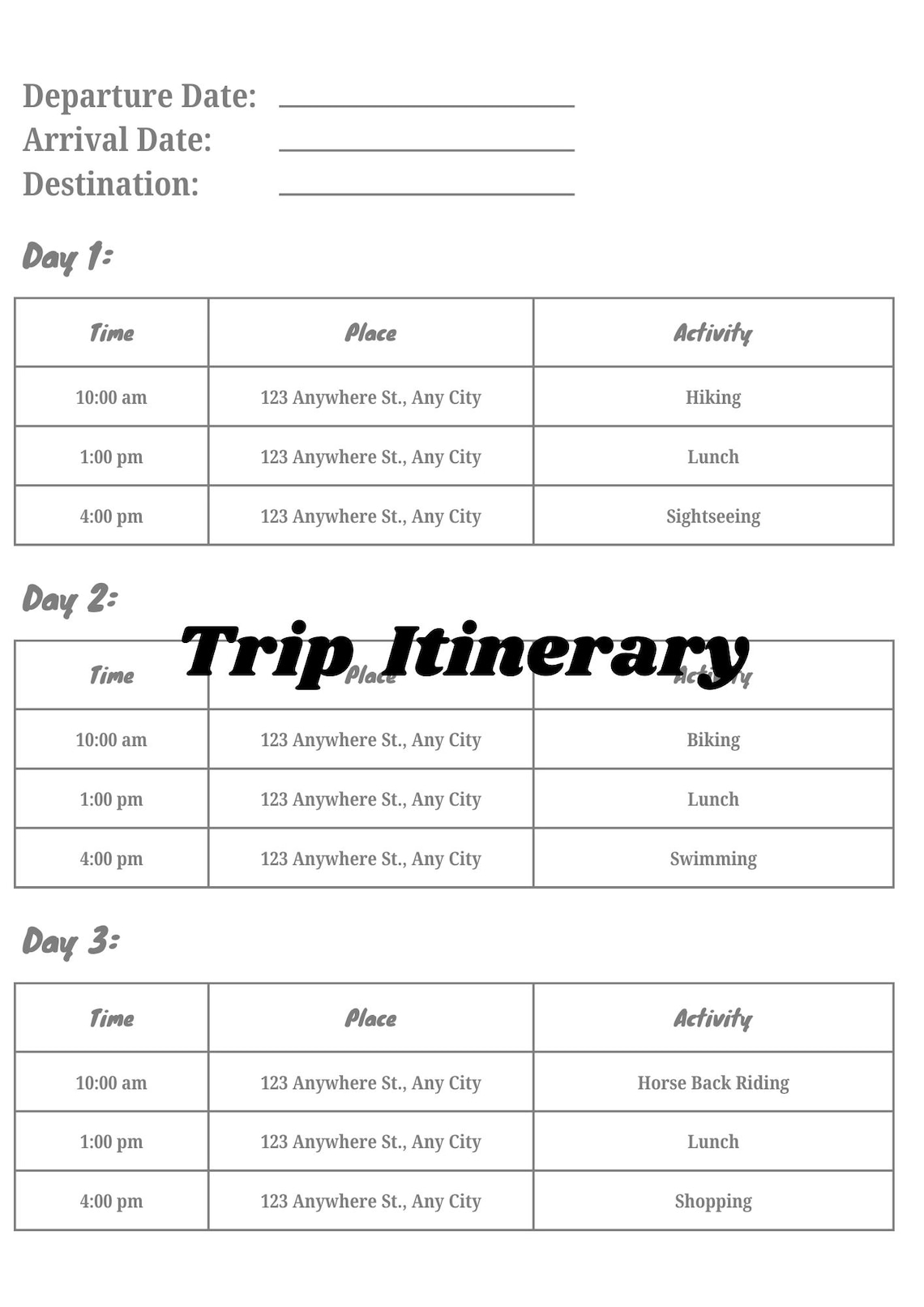Dfy/done for You Trip Itinerary Timeline Planner | Travel Planner - Etsy