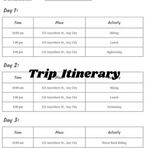 Dfy/done for You Trip Itinerary Timeline Planner | Travel Planner - Etsy