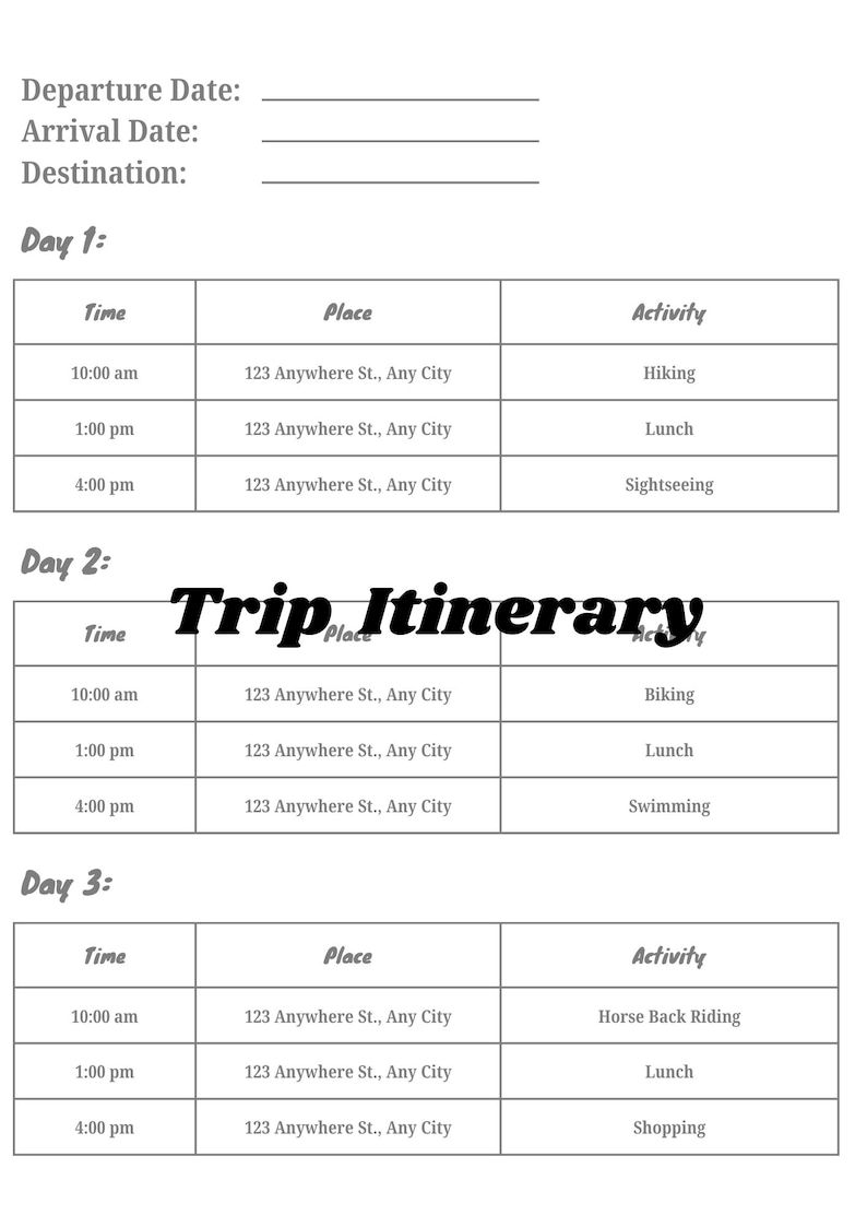 Dfy/done for You Trip Itinerary Timeline Planner | Travel Planner - Etsy