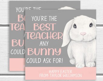 Teacher Any Bunny - Etsy