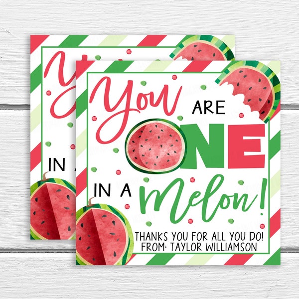 One in a Melon Party - Etsy