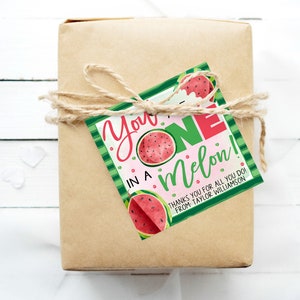 Watermelon Gift Tags, You Are One in A Melon, Appreciation Gift Tag ...