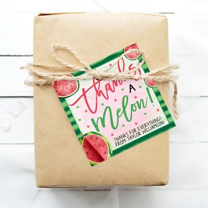 Watermelon Gift Tags, Thanks A Melon, Appreciation Gift Tag, Birthday ...