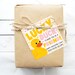 Rubber Duck Gift Tag, Editable Valentine Daycare Preschool School Early ...
