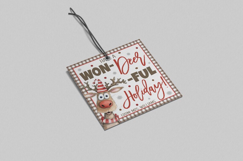 Reindeer Holiday Gift Tags, Have A Won-deer-ful Holiday Tag, Student ...