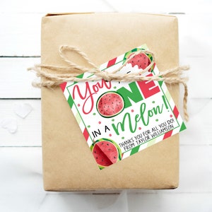 Watermelon Gift Tags, You Are One in A Melon, Appreciation Gift Tag ...