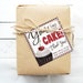 Cupcake Gift Tag, You Take the Cake, Chocolate School Teacher Staff ...