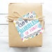 Summer Bubbles Gift Tags, Bubbles of Fun, End of School Year Gift Kids ...