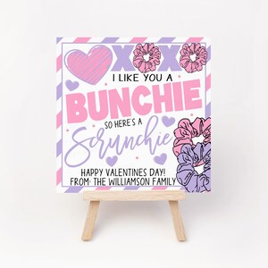 Valentine Scrunchie Tags, Valentine Girl Hair Tie Tag, Scrunchie Gift ...