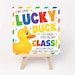 Back to School Rubber Duck Gift Tag, Lucky Duck, Printable Gift for ...