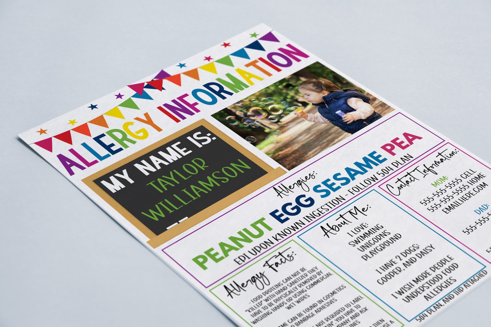 Editable Food Allergy Information Sheet Flyer, Printable School Daycare ...