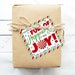 Christmas Peppermint Candy Gift Tags, Wishing You Happiness Joy, Thank ...