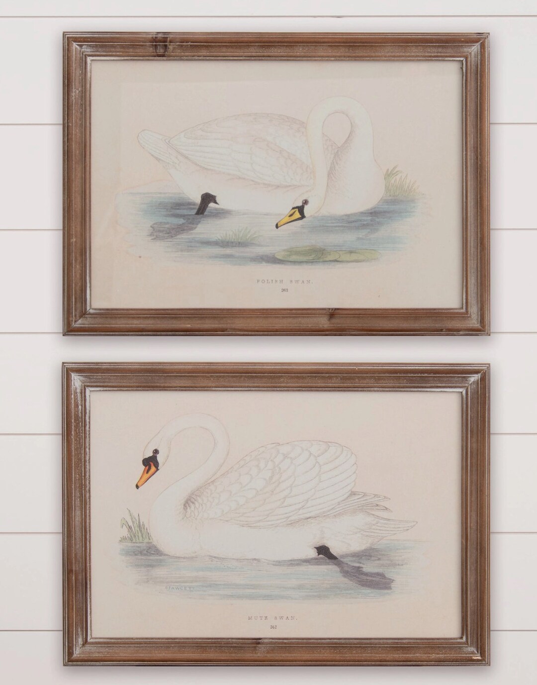 Vintage Inspired Swan Print - Etsy