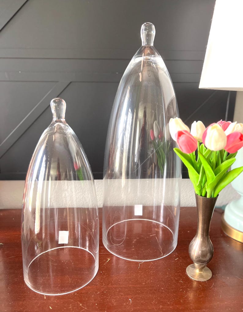 L/XL Glass Cloche-2 Sizes - Etsy