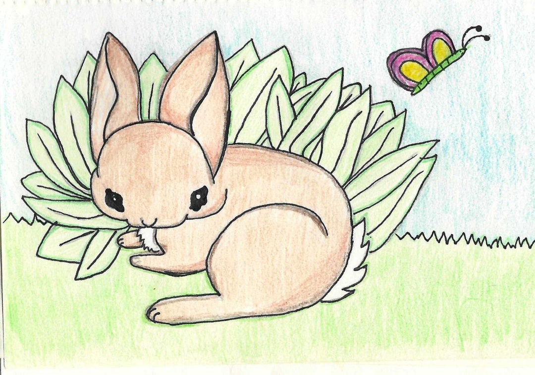 Bunny Colored Pencil Drawing - Etsy