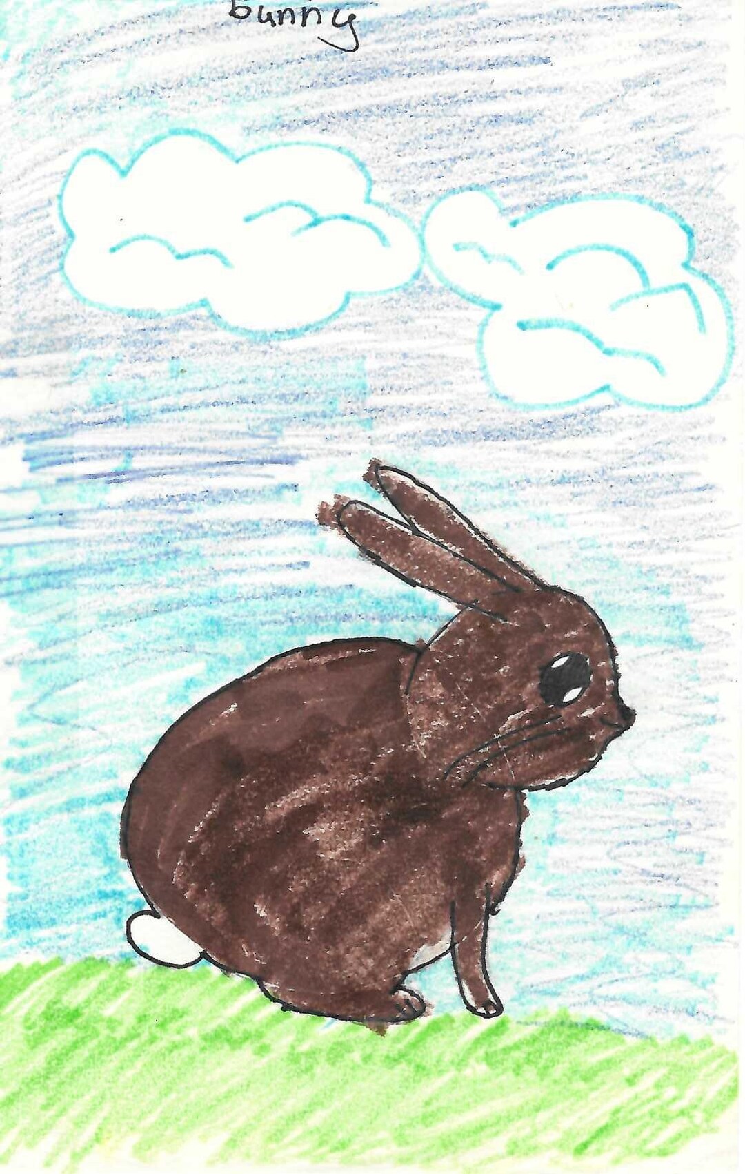 Bunny Colored Pencil Drawing - Etsy
