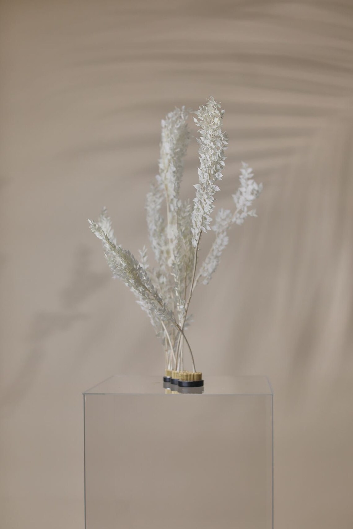 Bleached Preserved Ruscus - White / Rustic Home Decor / Dried Flowers ...