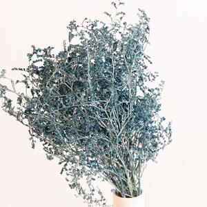 Painted Blue Sea Lavender - Dried Limonium - Etsy