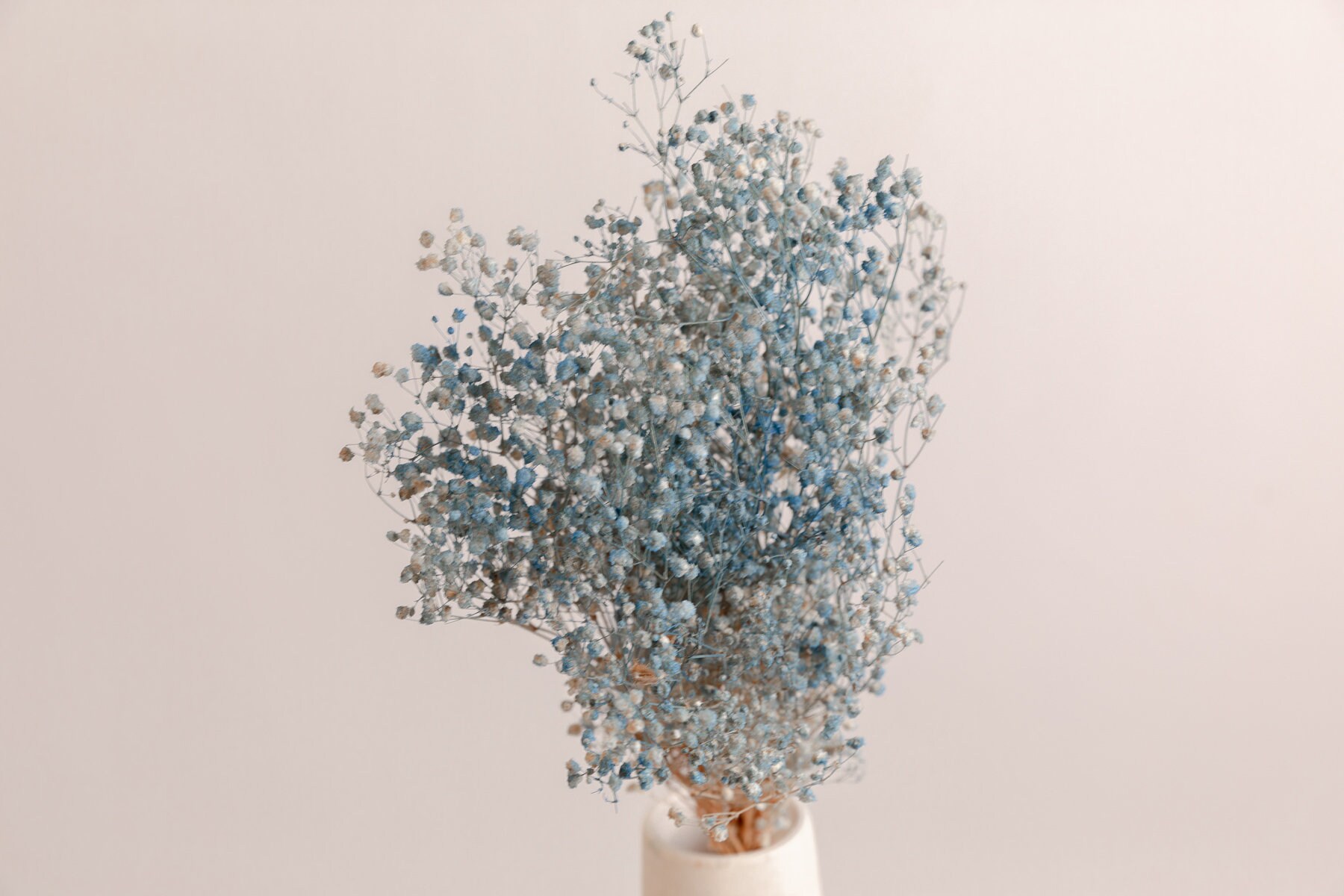 Painted Blue Hues Dried Gypsophila Baby's Breath Flowers - Etsy