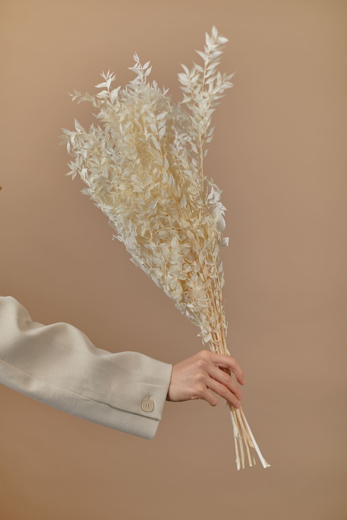 Bleached Preserved Ruscus White / Rustic Home Decor / Dried - Etsy