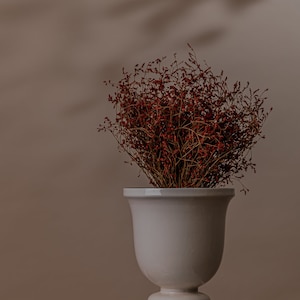 Painted Red Sea Lavender - Dried Limonium - Etsy UK