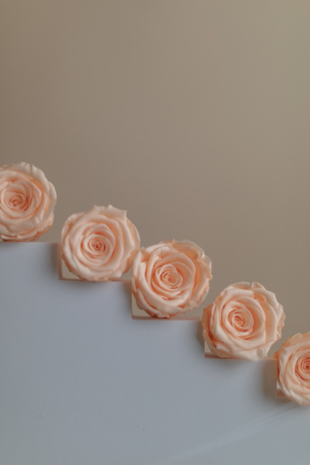 Wholesale Preserved Peach Roses - 8 Head Box Stabilised Roses - Etsy