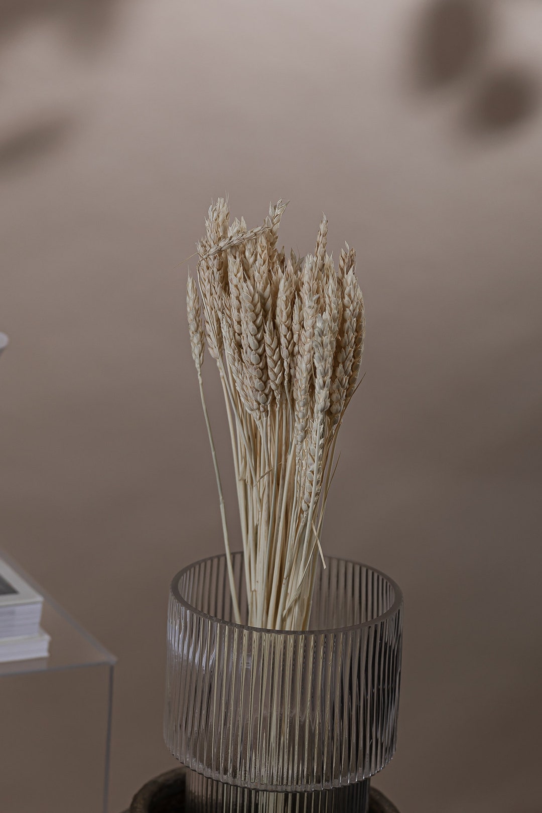 Bleached Ivory Wheat - Triticum - 70-80 Gram Bunch - Etsy