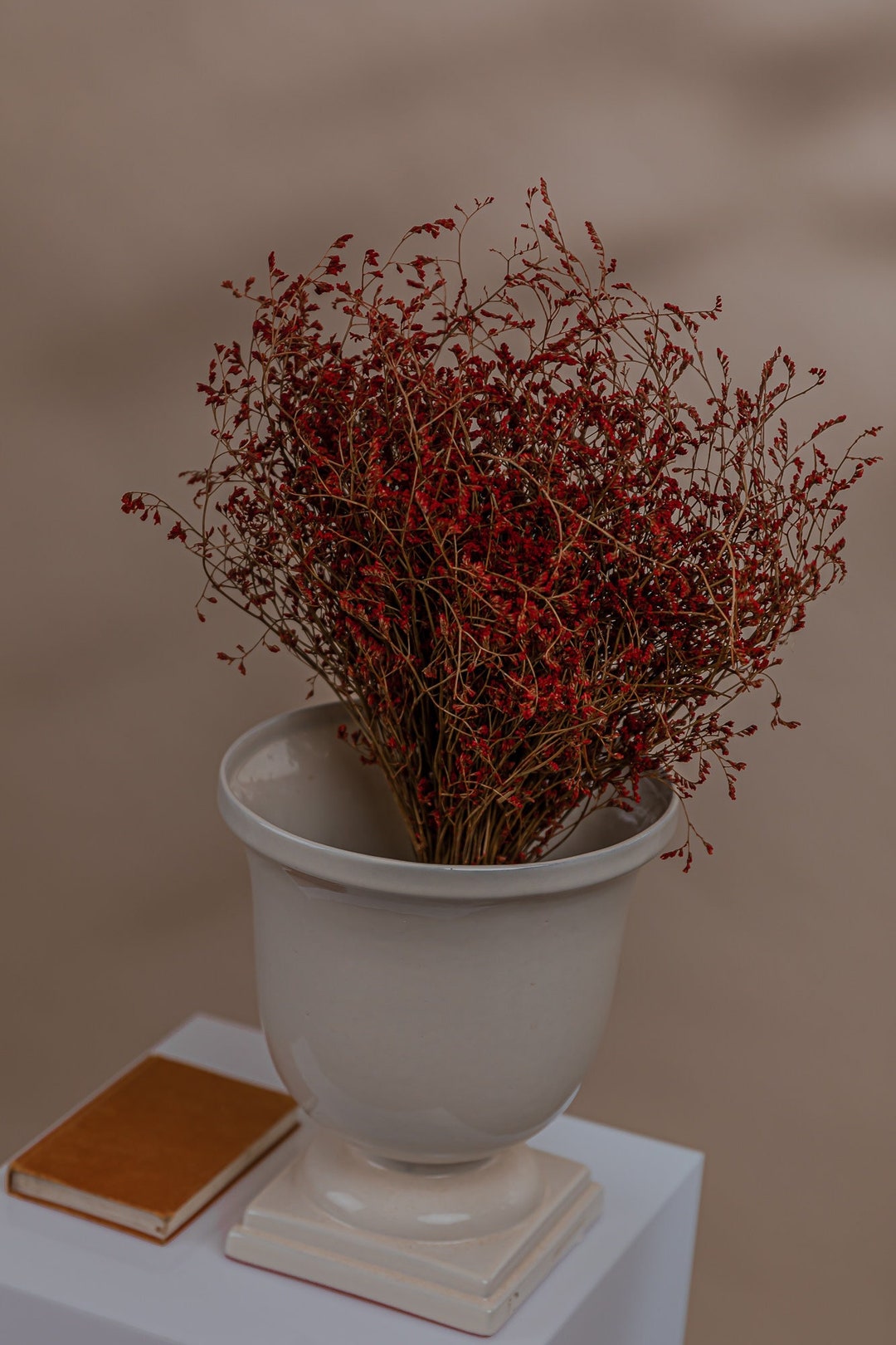 Painted Red Sea Lavender - Dried Limonium - Etsy