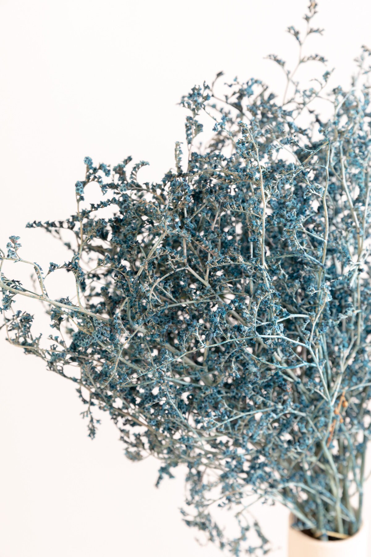 Painted Blue Sea Lavender - Dried Limonium - Etsy