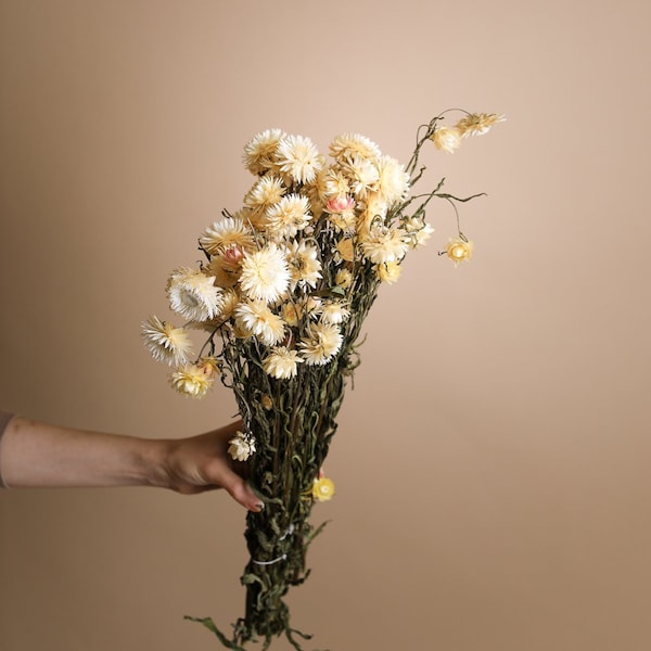 Straw Flowers - Etsy