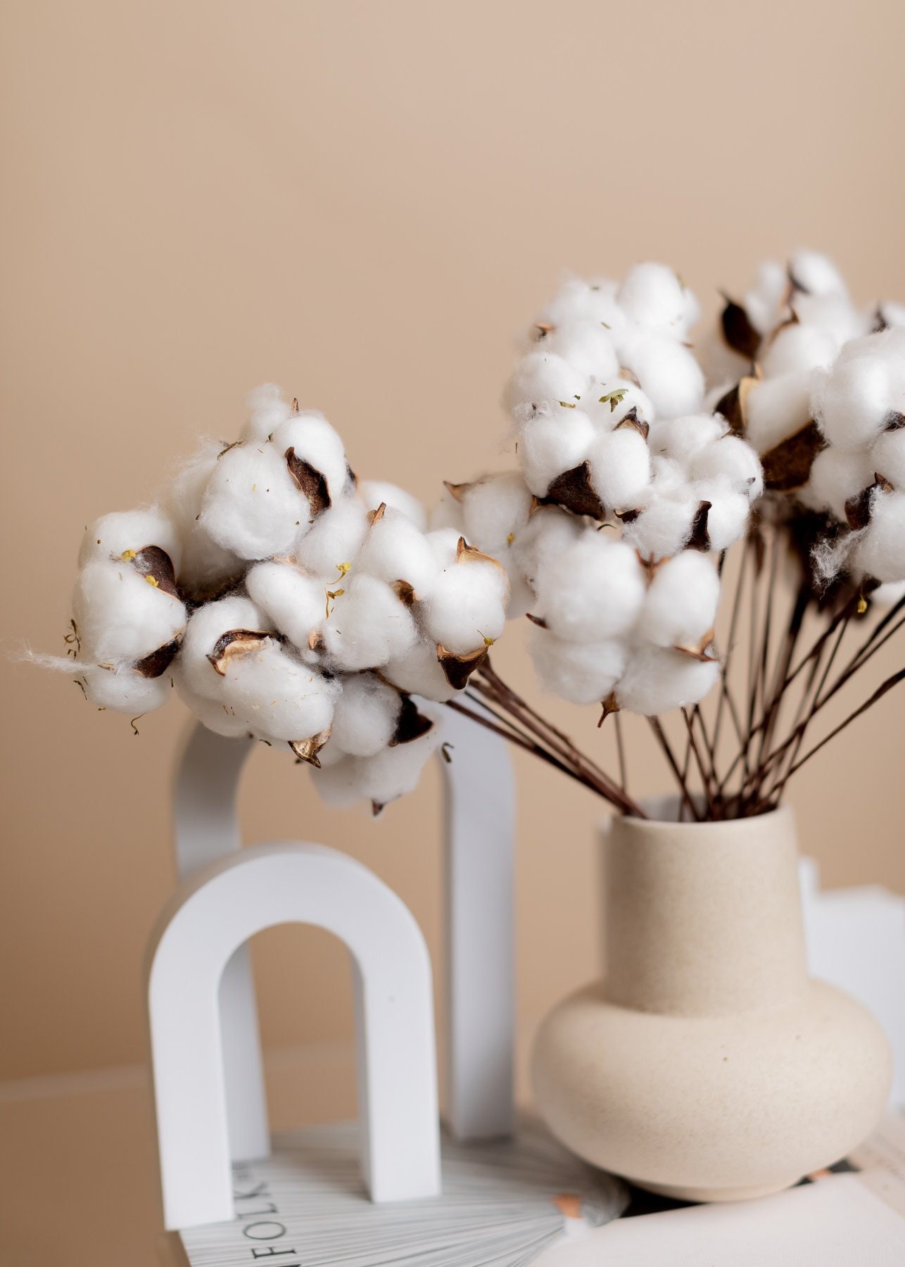 Dried Cotton Stems 10 Stems Bunch | Etsy