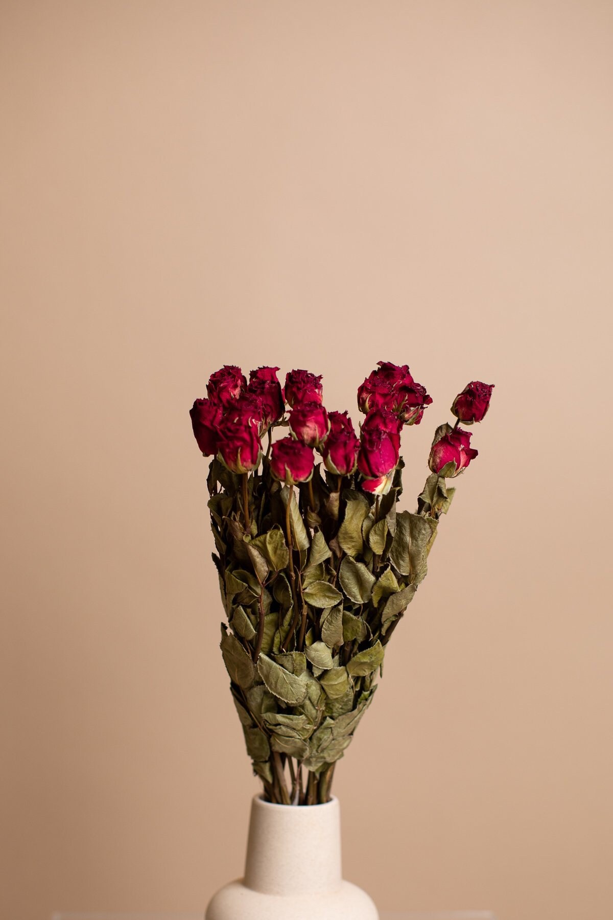 Dried Roses Natural Deep Red - Etsy