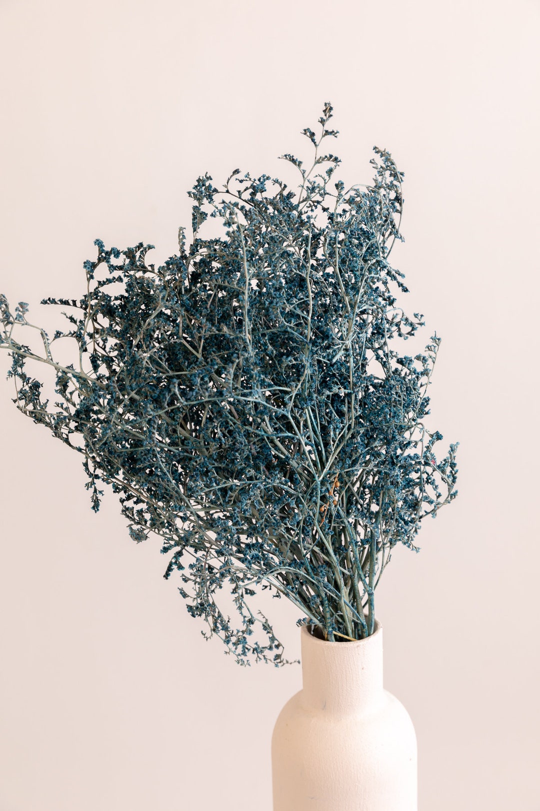 Painted Blue Sea Lavender - Dried Limonium - Etsy