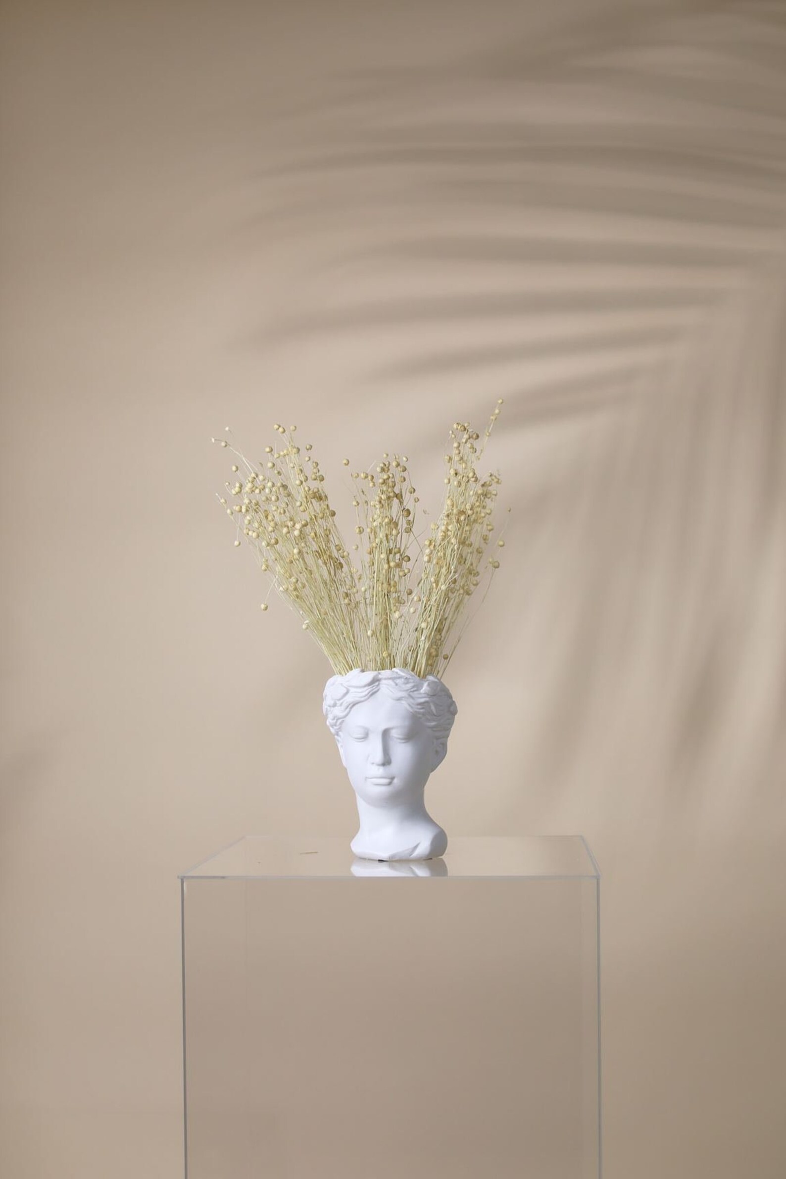 Dried Natural Linum / Dried Flax Seeds Pods / Wholesale Dried Flowers ...