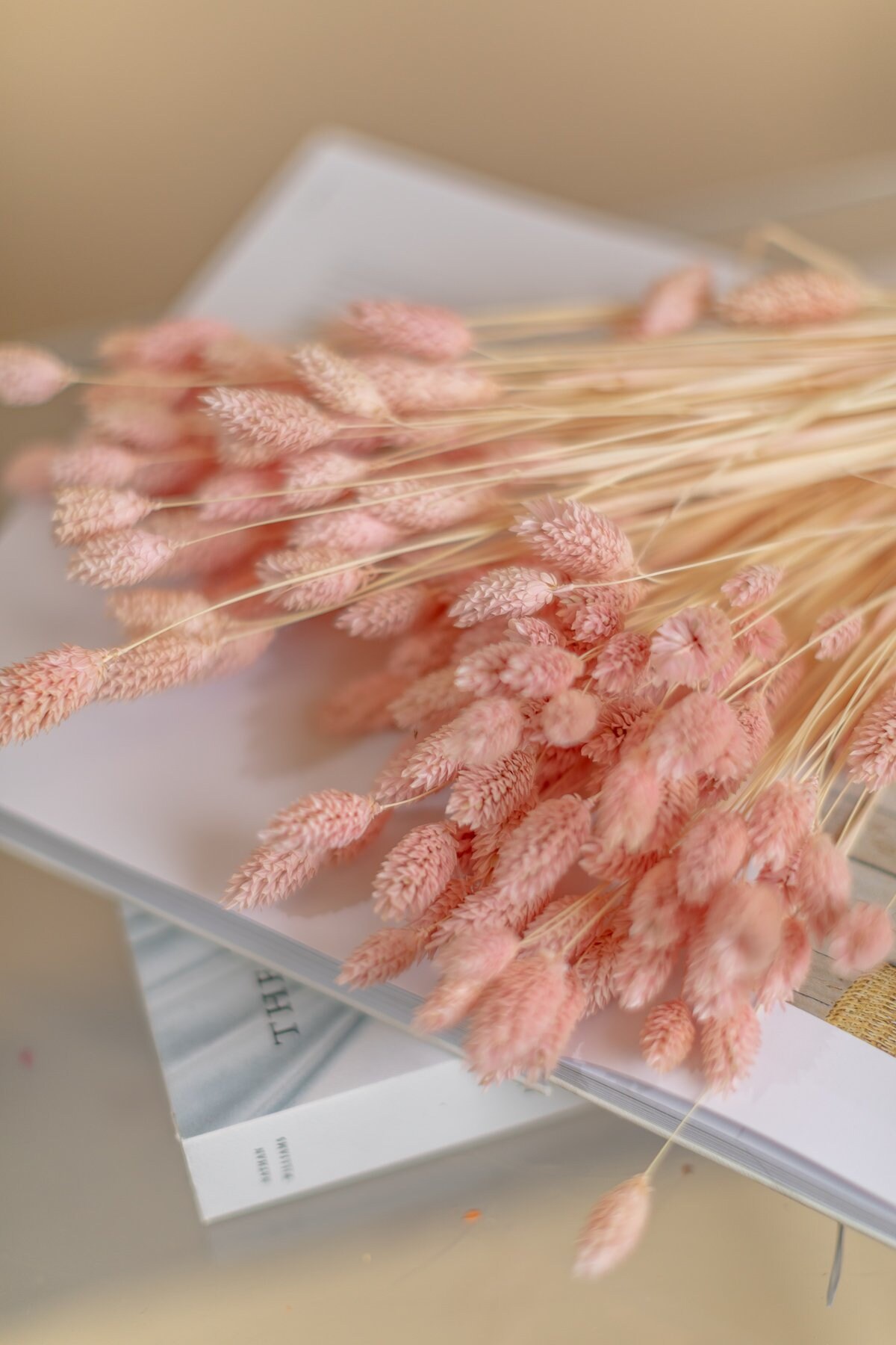 Dried Phalaris - Pastel Pink Canary Grass - Etsy