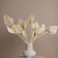 Burnt Orange Oats / Dried Avena Oats / Dried Flowers Bulk / Dried ...